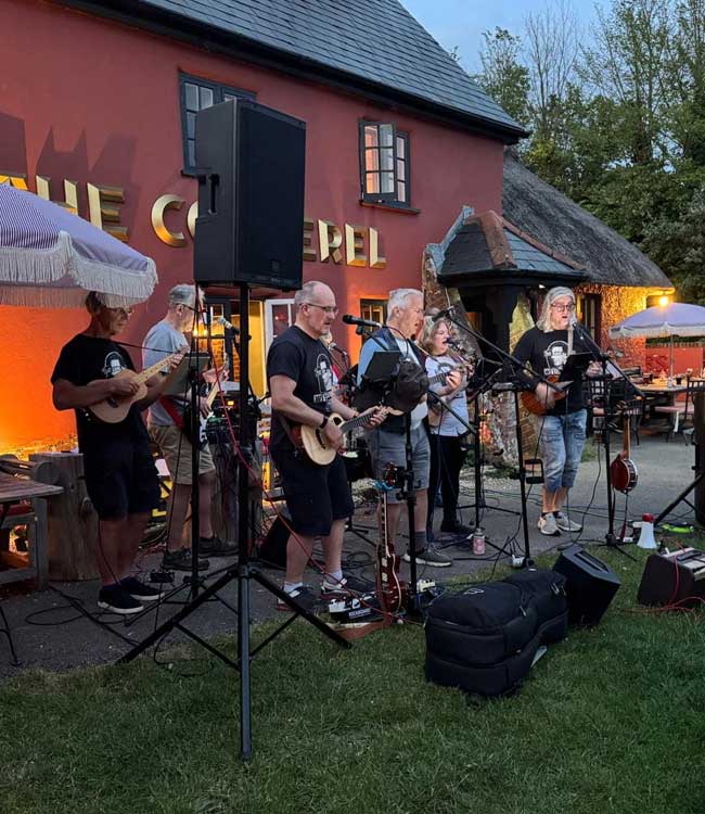 Best Country Pub Near Me In Long Crichel | The Cockerel